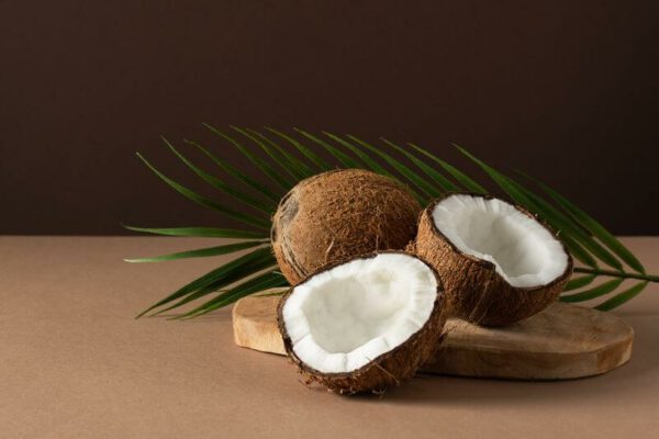 37 Coconut Puns & Jokes That Are Actually Funny – Puns and Jokes